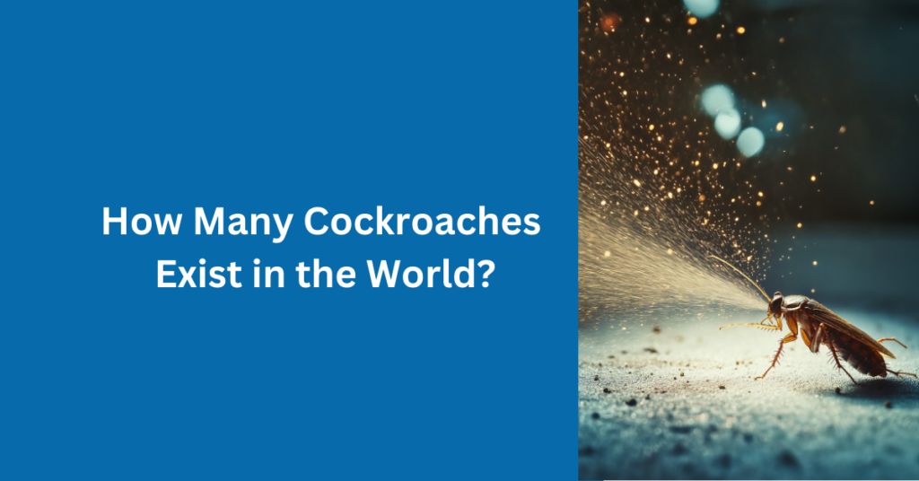 How Many Cockroaches Exist in the World? Facts and Insights