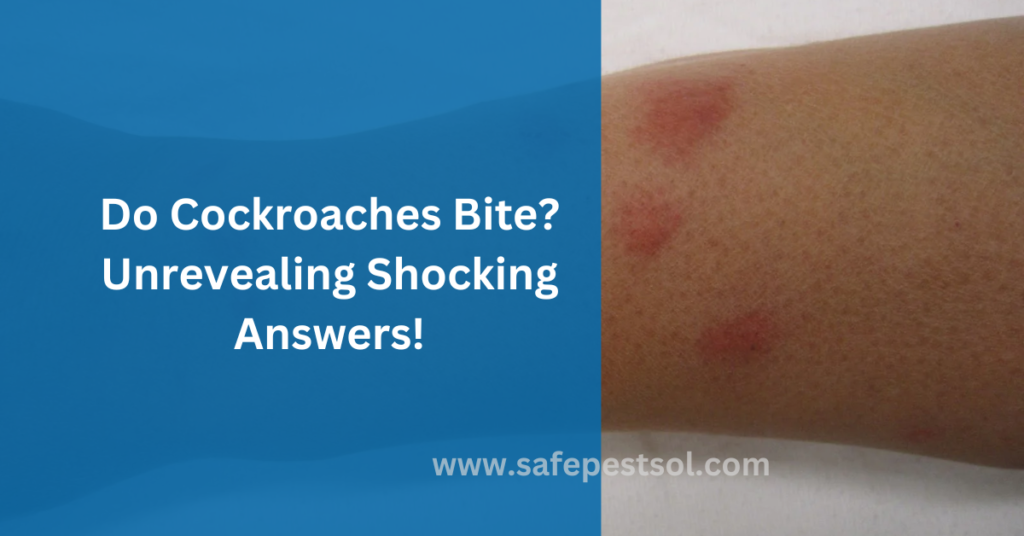 Can Cockroaches Bite? The Real Answer You Should Know