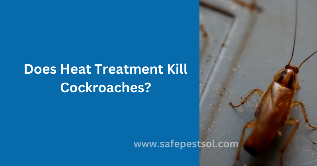 How Heat Treatment Can Kill Cockroaches?