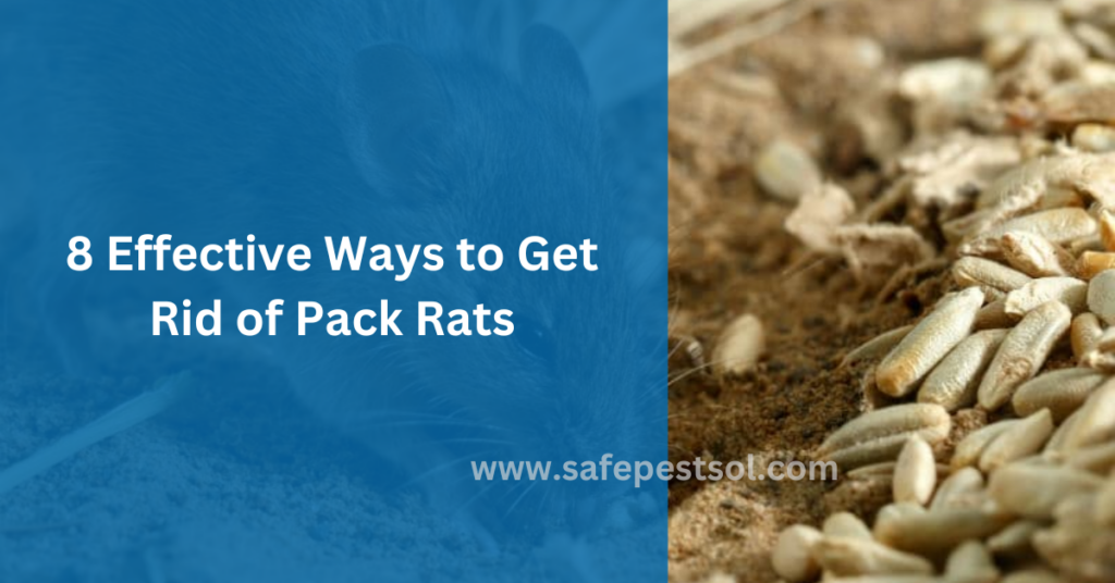 8 Effective Ways to Get Rid of Pack Rats