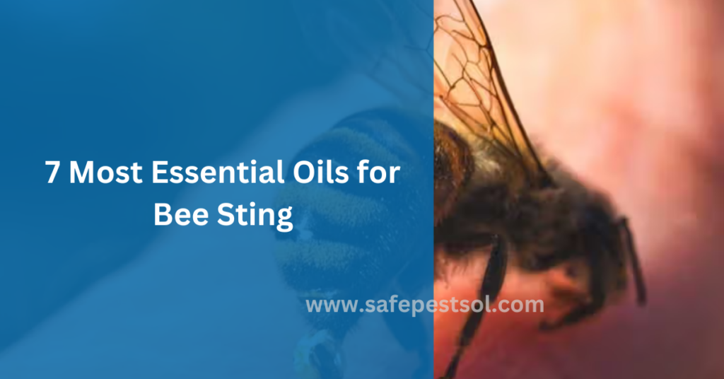 7 Effective Essential Oils for Bee Sting
