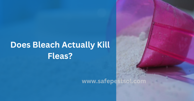 Does Bleach Actually Kill Fleas?