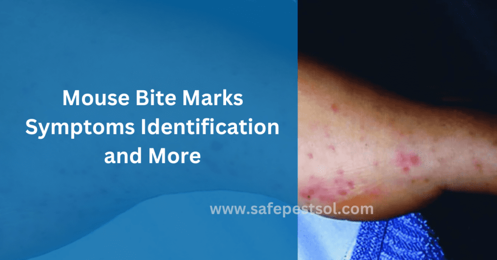 Mouse Bite Marks, Symptoms, Identification and More