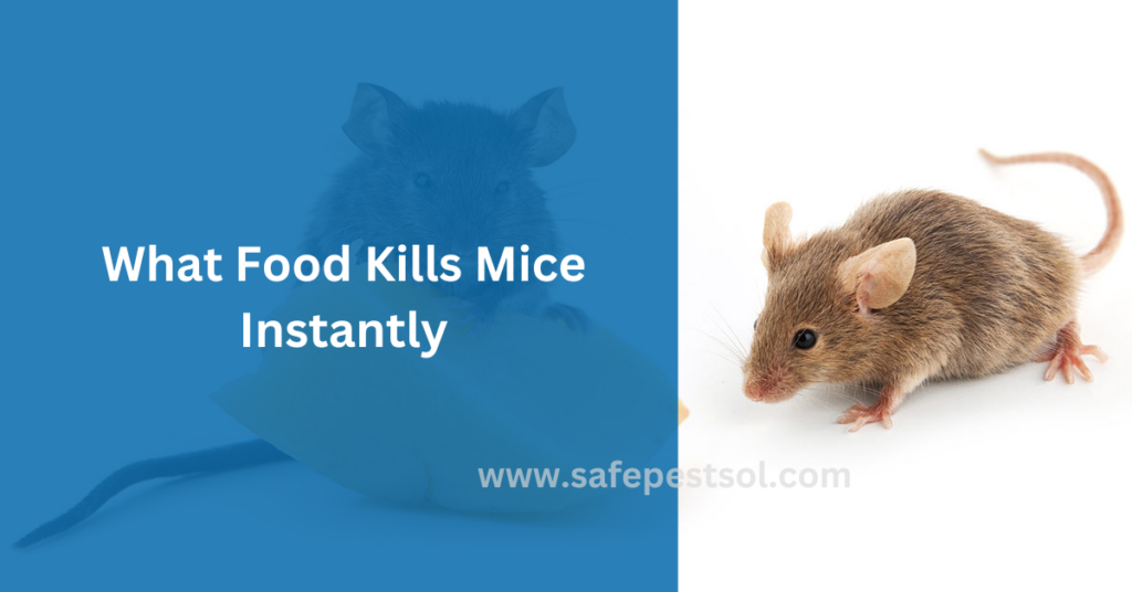 List of Foods To Eliminate Mice Instantly