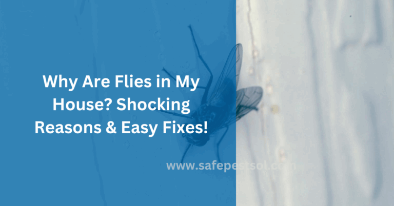 Why Are Flies in My House? Shocking Reasons & Easy Fixes!