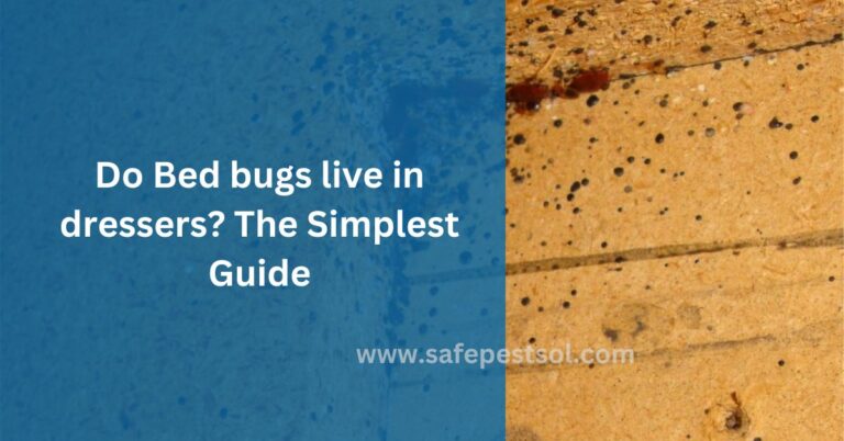 Do Bed bugs live in dressers? The Simplest Guide