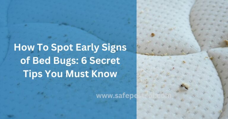 How To Spot Early Signs of Bed Bugs: 6 Secret Tips You Must Know